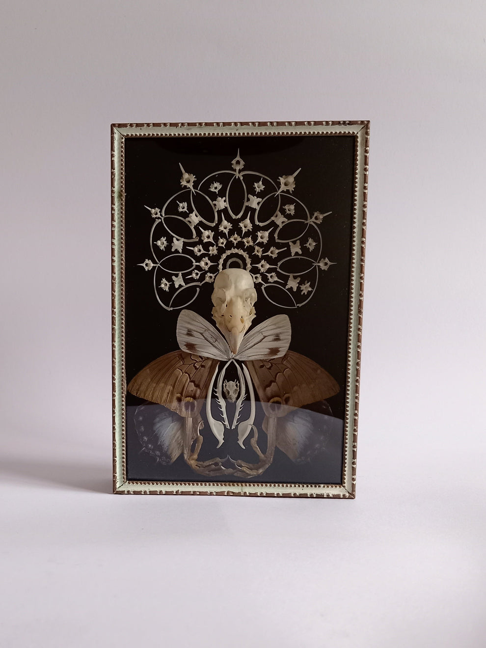 Bone Fairy – Obscure Art
