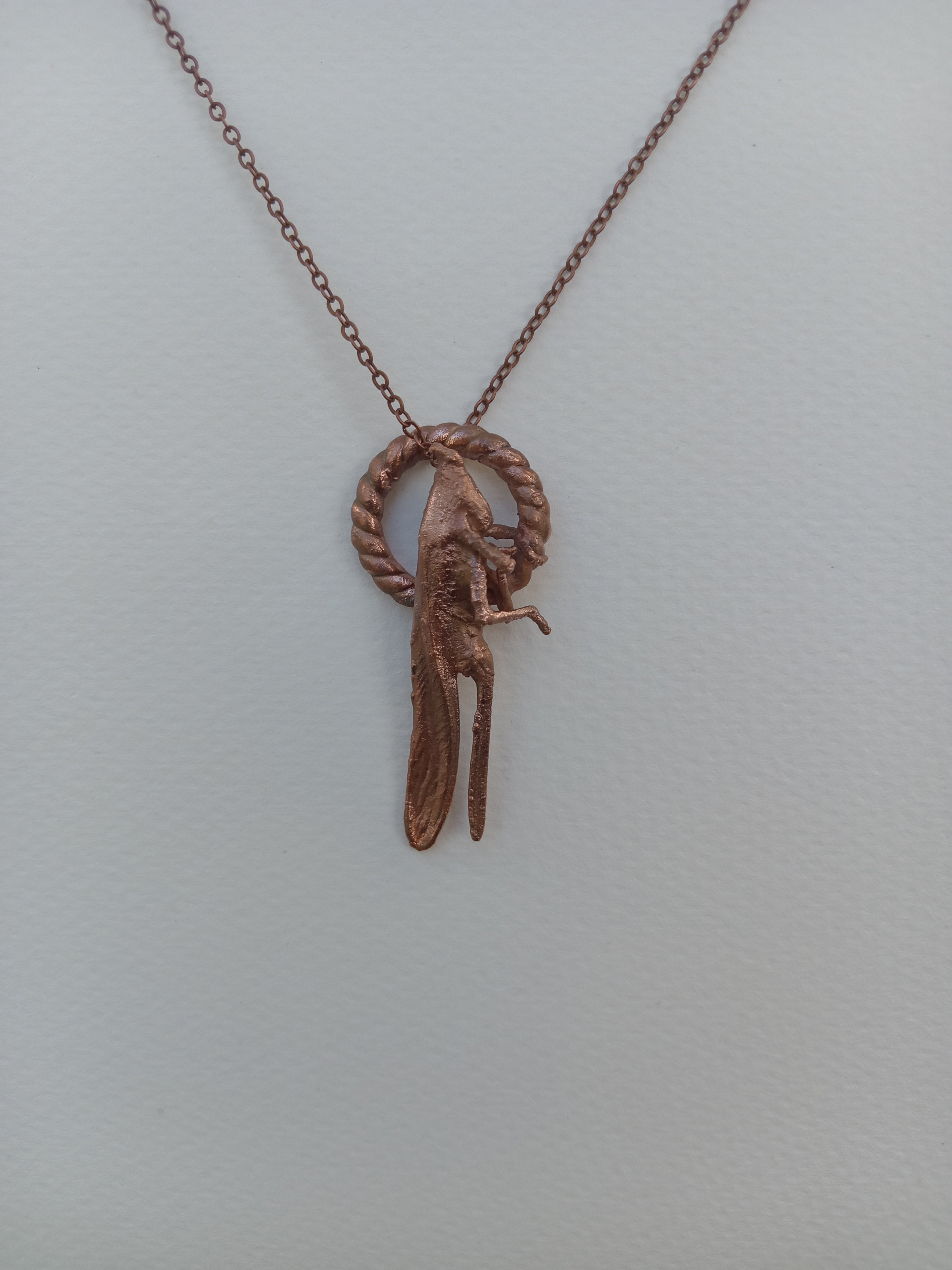 Copper Electroformed Grasshopper – Obscure Art