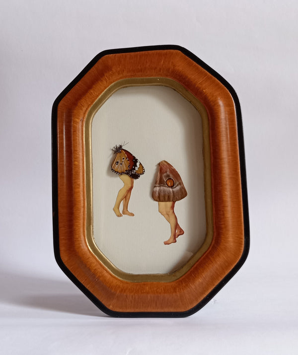 Butterfly legs in Vintage Frame – Obscure Art